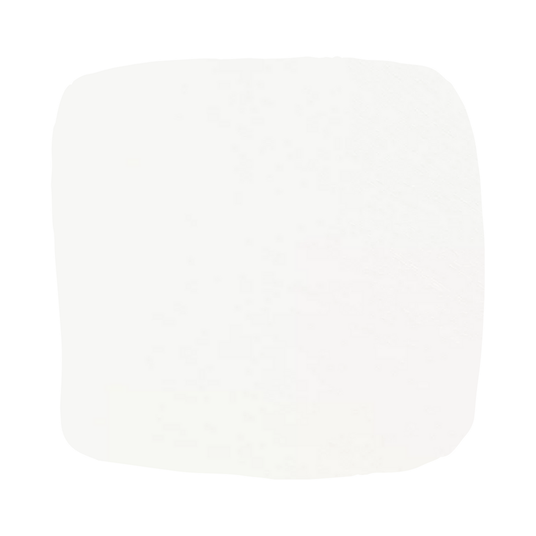 Color Atelier Lime Paint & Plaster | Green Works – Greenworks Building ...